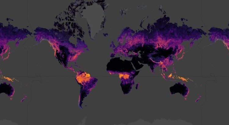 A New Neural Network Is Able To Read Tree Heights Using Satellite ...