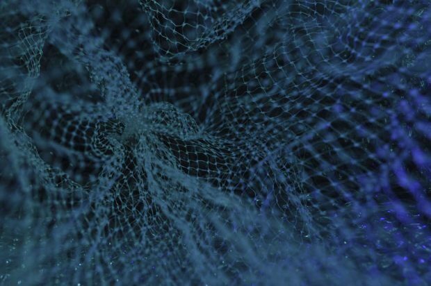 Data Points: Definition, Types, Examples, And More (2022)