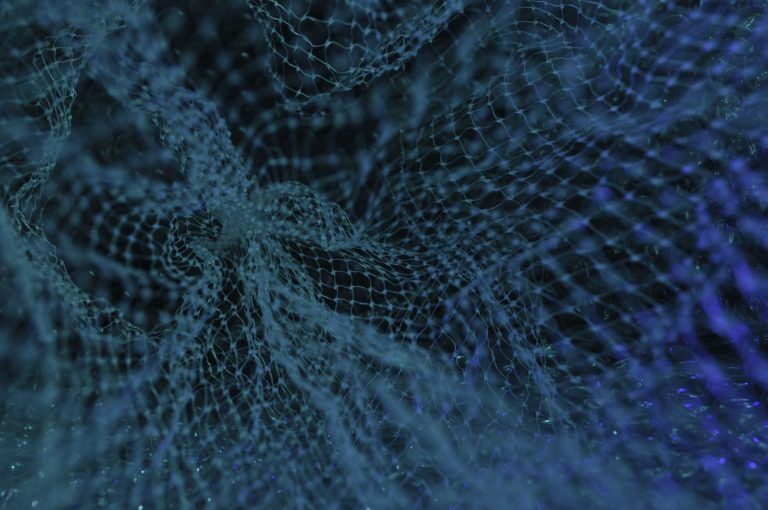 Data Points: Definition, Types, Examples, And More (2022)