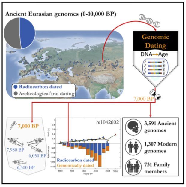 AI-supported Temporal Population Structure (TPS) Technique Sheds Light On The History Of Human ...