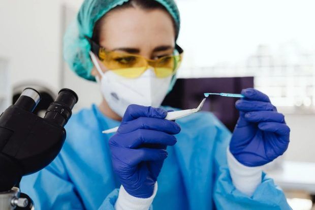 NVIDIA Announced The New NeMo And BioNemo Large Language Models At GTC ...