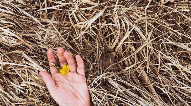 What is multi cloud data management: Architecture, examples and benefits