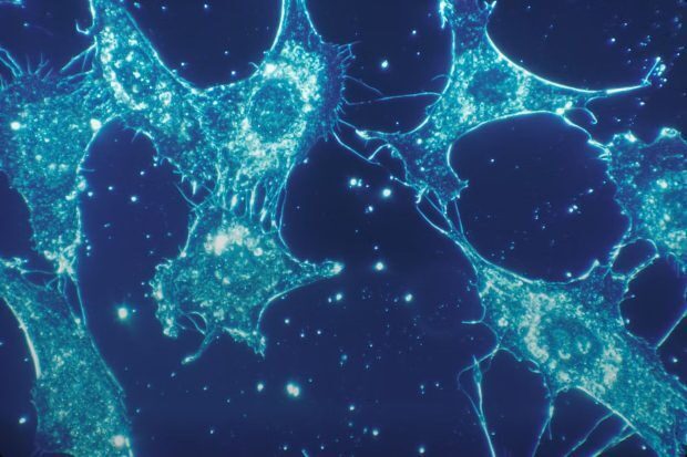 Artificial Intelligence In Science: Examples, Biology, Physics And ...