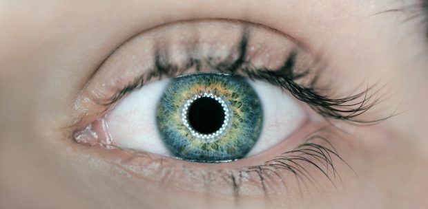 Understanding Visual Artificial Intelligence (Visual AI)