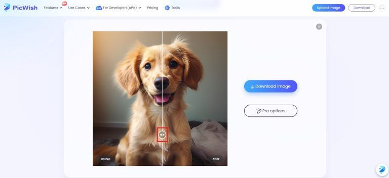 Explained: PicWish AI Photo Editor - Dataconomy