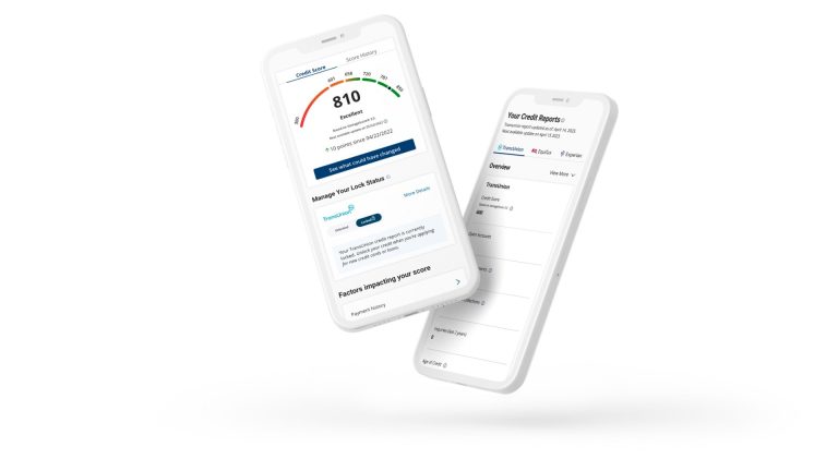 What Is MyTrueIdentity And Is It Legit? - Dataconomy