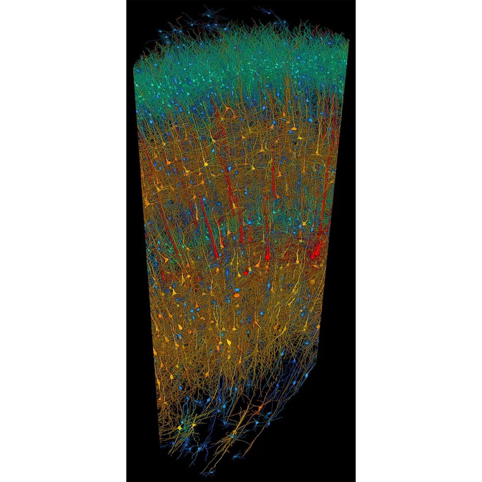 Google DeepMind Embarked On A Breathtaking Journey Through The ...