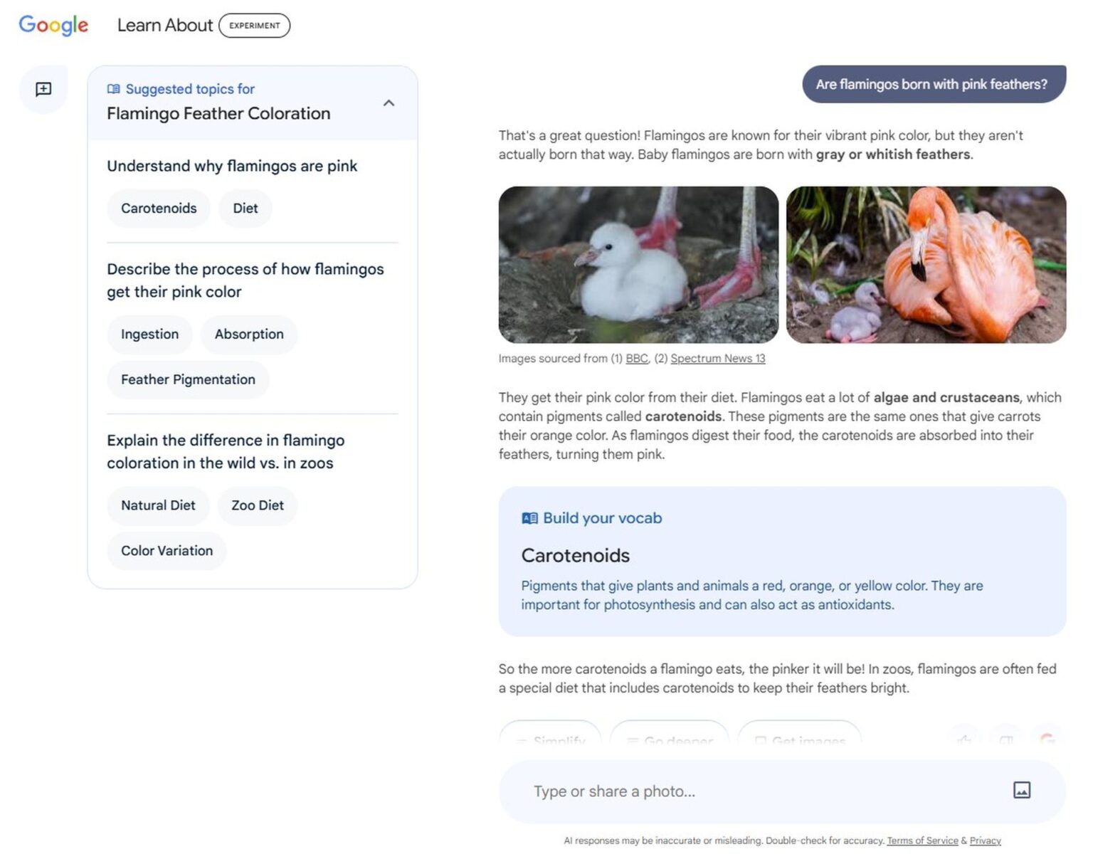 Google Learn About AI Makes Learning A Breeze - Dataconomy
